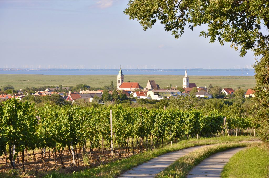 Bus trips in the Neusiedler See region | Familypark